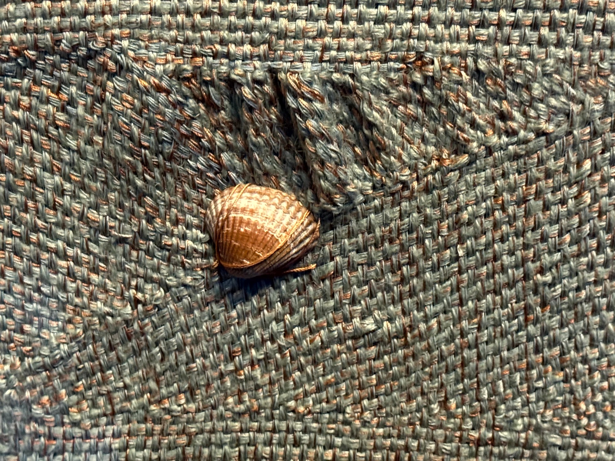 149. Sheila Hicks – nu het nog kan